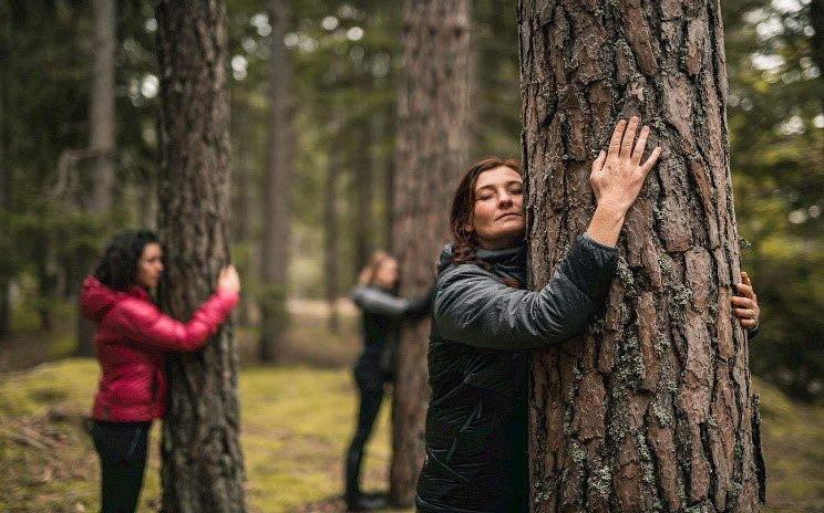 MIND-BLOWING BENEFITS OF TREE-HUGGING – Welcome to Dr. Jayanth Murali ...