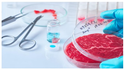 CELLULAR AGRICULTURE: BENEFITS AND PROSPECTS – Welcome to Dr. Jayanth ...