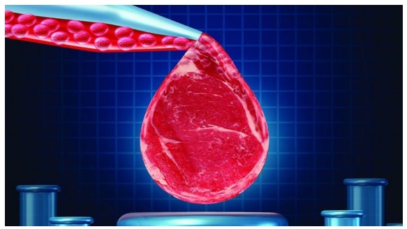 CELLULAR AGRICULTURE: BENEFITS AND PROSPECTS – Welcome to Dr. Jayanth ...