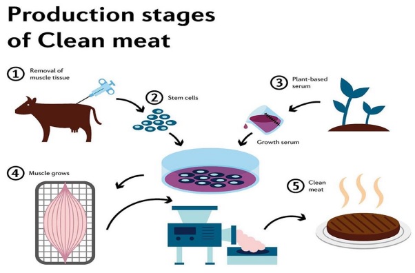 CELLULAR AGRICULTURE: BENEFITS AND PROSPECTS – Welcome to Dr. Jayanth ...