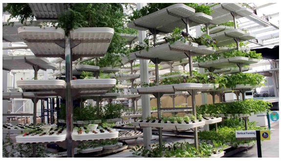 EXPLORING THE UPS AND DOWNS OF VERTICAL FARMING – Welcome to Dr ...
