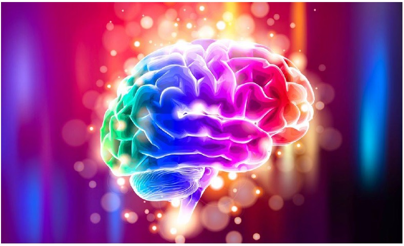 BIOLOGY OF THE BRAIN: UNDERSTANDING HOW THE BRAIN WORKS AND ITS ...