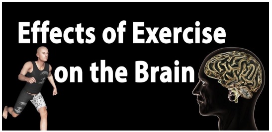 THE SCIENCE OF EXERCISE FOR PEAK PERFORMANCE – Welcome to Dr. Jayanth ...