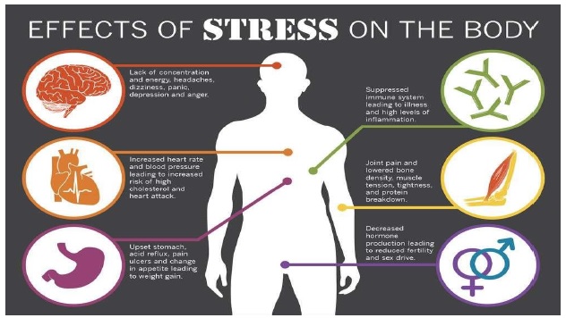 THE IMPACT OF STRESS ON PERFORMANCE AND HOW TO MANAGE IT – Welcome to ...