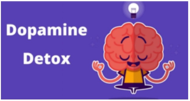 The Power of Dopamine Detox for Peak Performance – Welcome to Dr ...