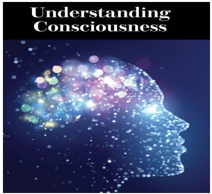 UNLEASHING THE INNATE POTENTIAL: EMBRACING CONSCIOUS CREATION FOR A ...